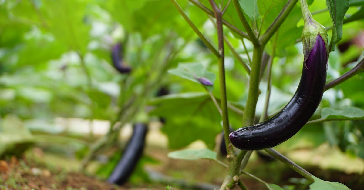 How to Add a Row on Google Docs: Simple Steps to Enhance Your Tables ...